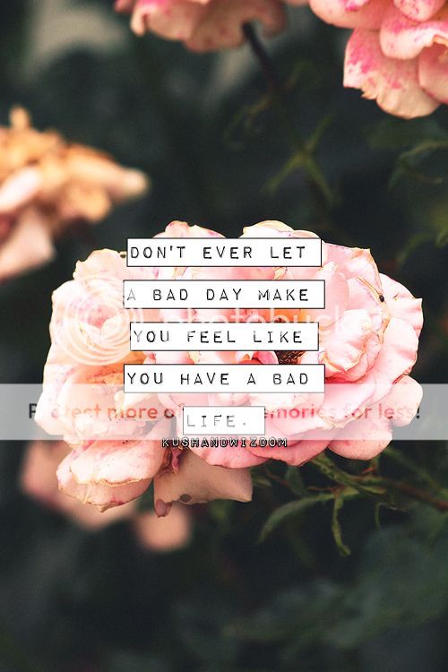 Wednesday Fuel | Bloggeretterized